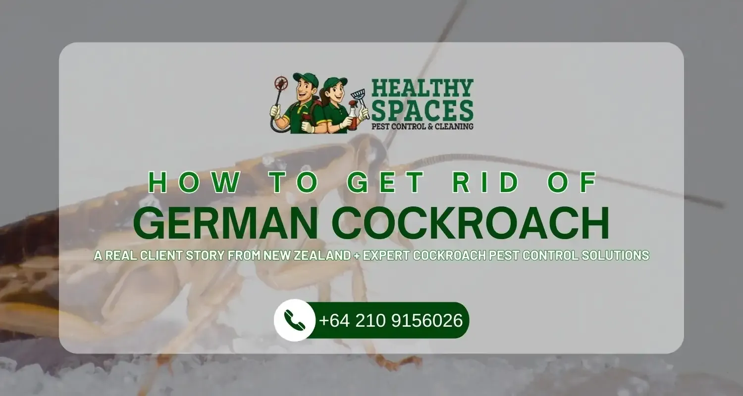 How To Get Rid Of Cockroaches NZ | German Cockroach Control